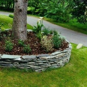 Raised beds built around the trunk of an established tree