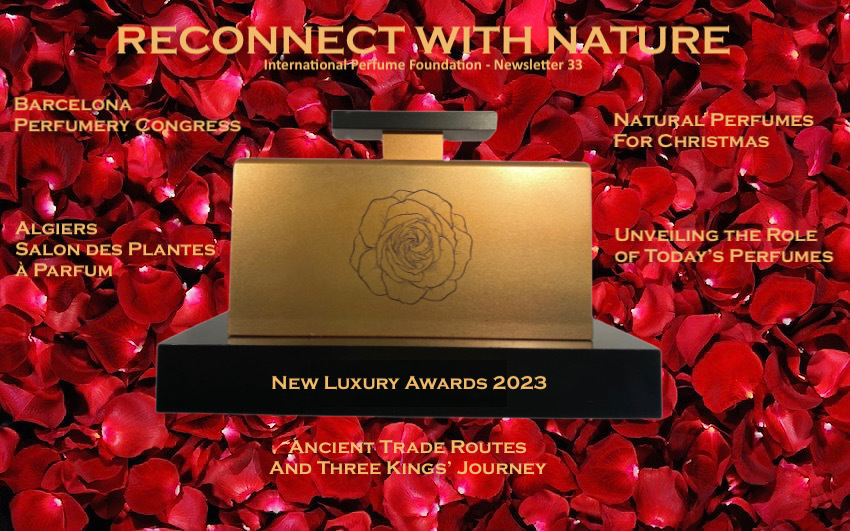 IPF Newsletter December 2023- N° 33