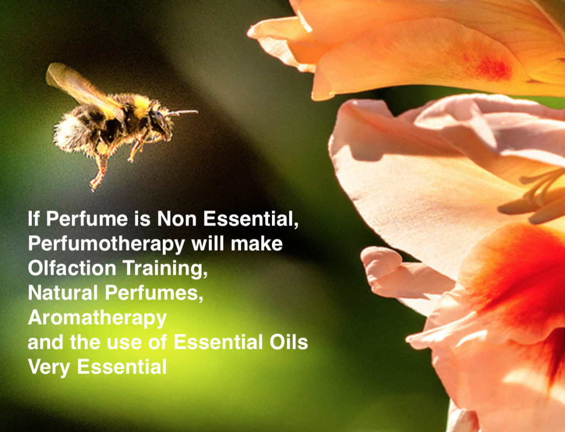 Perfumotherapy